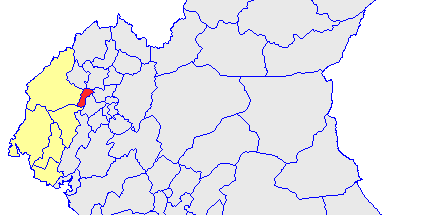 Case Studies | Open Case Studies